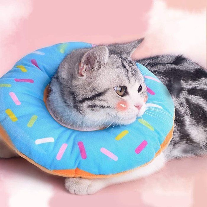 Collerette de protection chat anti-léchage, donut douce réglable M 17 ...