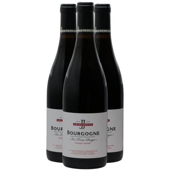 Bourgogne Les Terres Rouges Pinot Noir - Rouge 2022 - J&J Archambaud ...