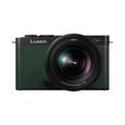 Hybride Panasonic appareil photo hybride lumix s9 vert + 20-60mm f/3.5 ...