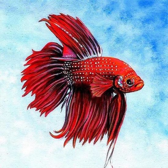 DIY Diamond Painting 5D Complet Diamant Peinture Poisson 30*40CM ...