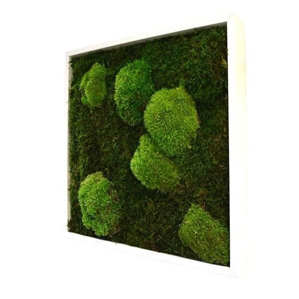 Tableau végétal mousse stabilisé BASIC - Carré 35x35 - NATURALYS ...