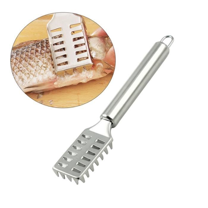 Grattoir d'échelle de poisson de rasoir vivant en acier inoxydable pour ...