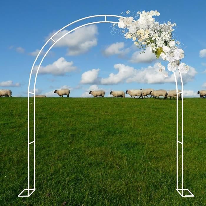 Arche de Jardin en Métal - TRAHOO - Arche pour Plantes Grimpantes ...