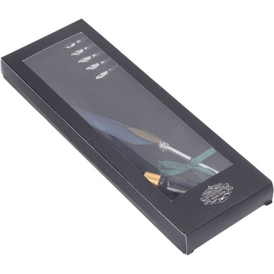 Ensemble Stylo Plume, Stylo Calligraphie Texture Fine Écriture Vintage ...
