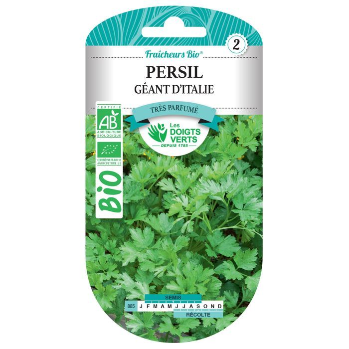 Semences de persil LES DOIGTS VERTS Géant italien bio - Cdiscount Jardin