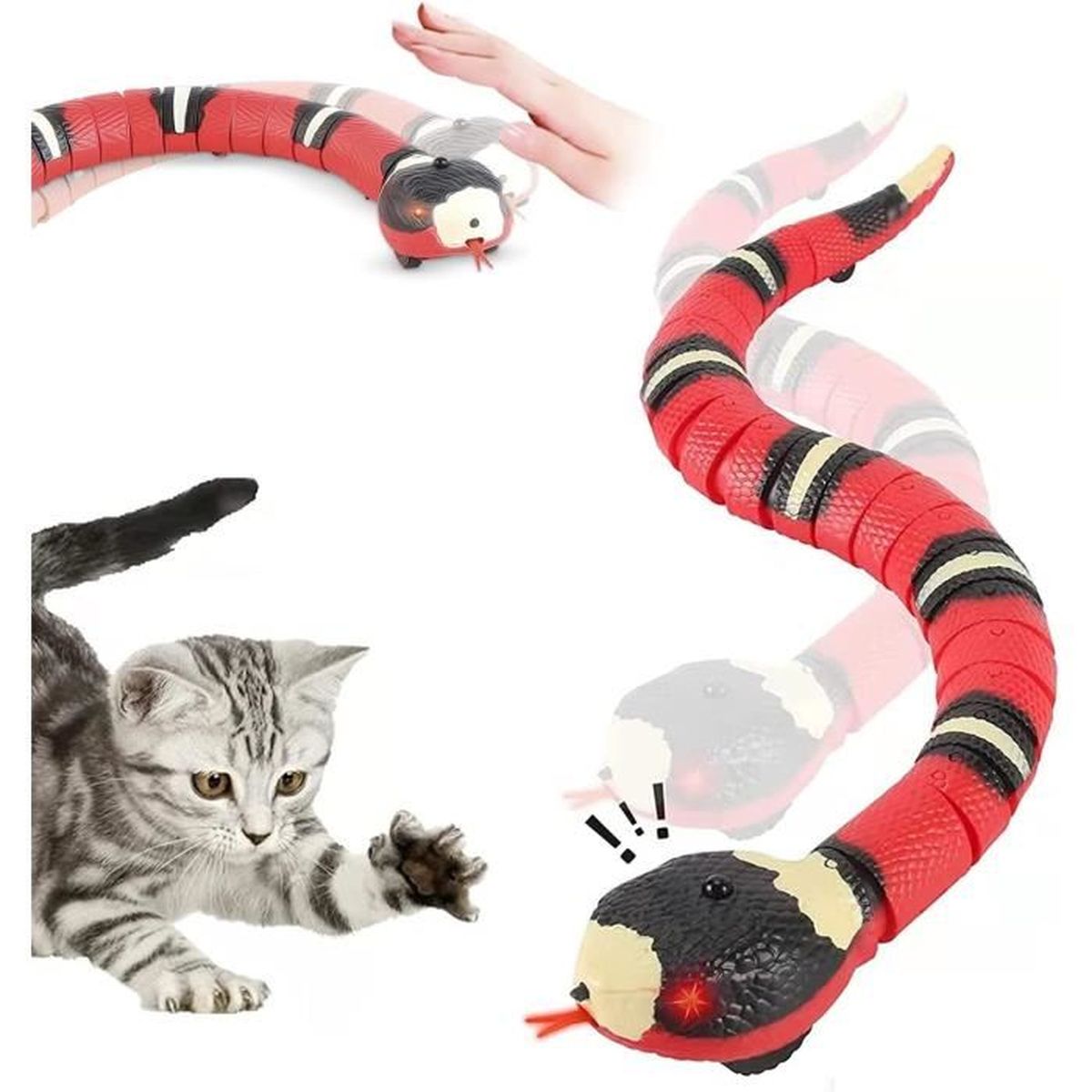 Serpent Jouet Chat, Jouet de Serpent Électrique,Jouet Serpent pour Chat ...