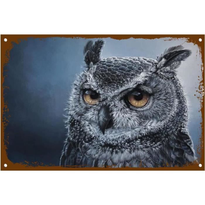 Métal Vintage Sign Plaque,Hibou Oiseau Animal,Affiche Fer peintures ...