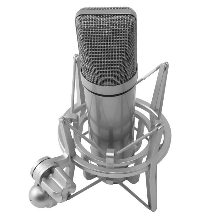 Ensemble de microphones Microphone vocal en métal Mini dispositif hôte ...