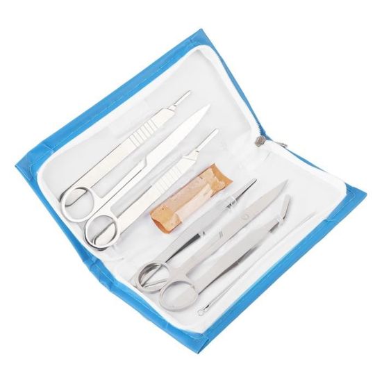 Dilwe Outils de dissection 7pcs Kit de Dissection en Acier Inoxydable ...
