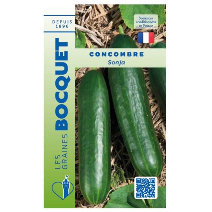 Graine - Semence - Concombre Sonja - Cdiscount Jardin