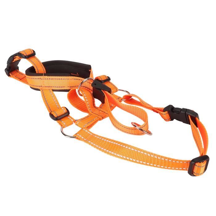 FYDUN Licol Muselière en nylon pour chien Licol Muselière pour chien ...