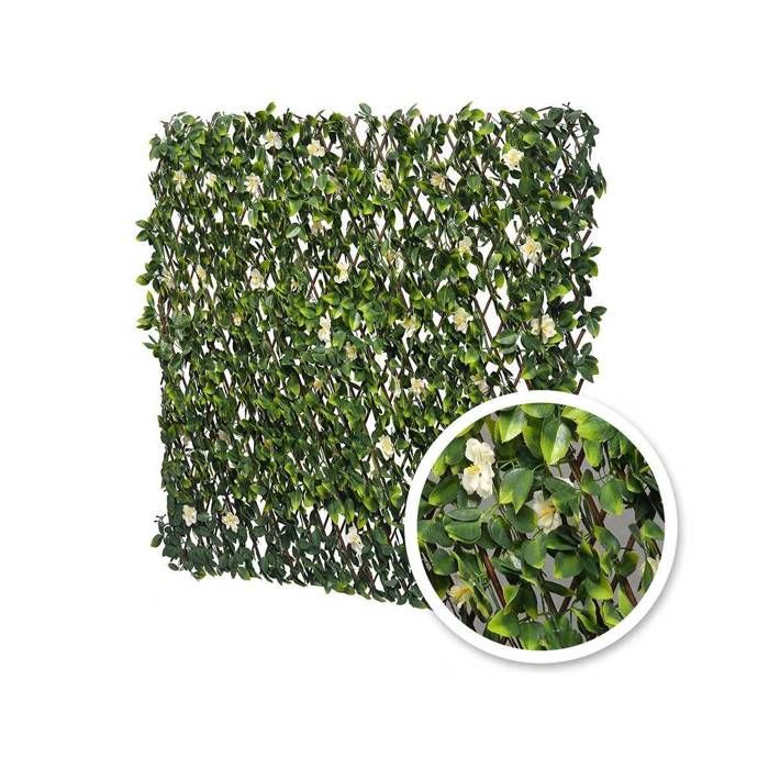 Treillis extensible Jasmin Fleuris 2 m (2 treillis de1 x 2 m ...