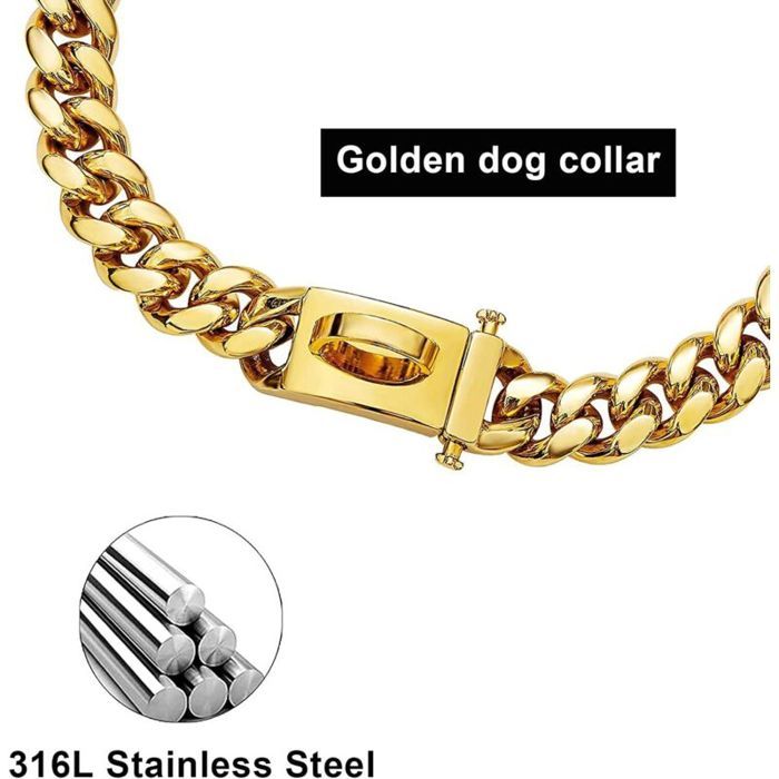 Collier de chien doré avec boucle de sécurité Collier de laisse à ...