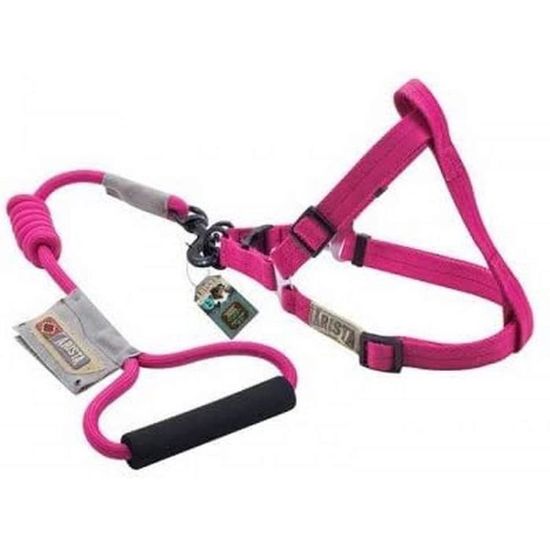 Zeus 99385 Harnais Et Laisse Pour Chien Bord Round M, Rose - Achat ...