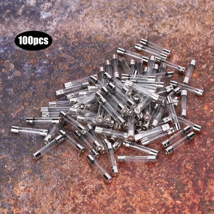 SUC-Fusible en verre 100pcs 250V tube de verre fusible accessoire de fusible rapide pour la ...