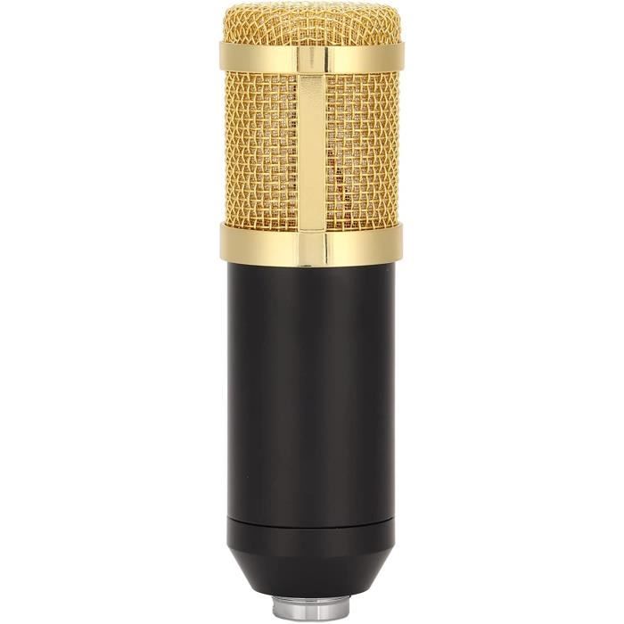 Microphone à condensateur, kit de micro de studio pour microphone de ...