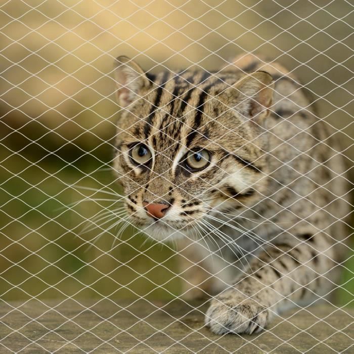 Minifinker Filet anti-chat Filet de protection anti-chat pour balcon ...