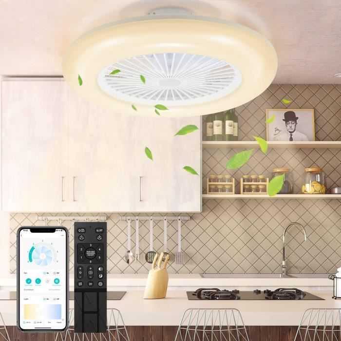 Lospitch 80W Ventilateur de plafond avec éclairage, LED Fan Plafonnier ...