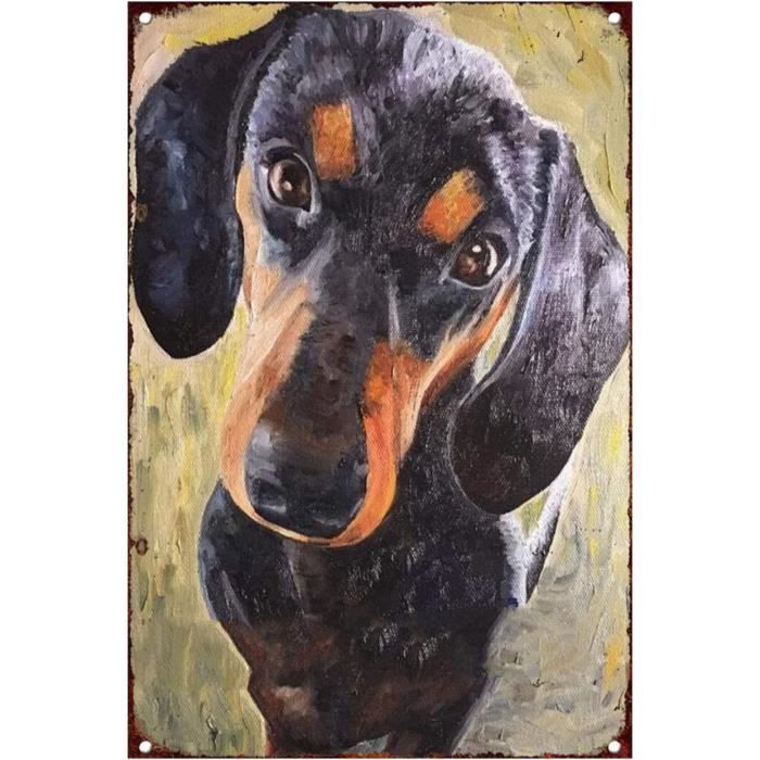 Poster Métallique Affiche,Teckel Chien Animal,Peinture Art Décoratif ...