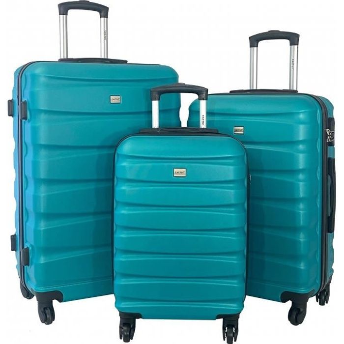 Valise Cactus Avis