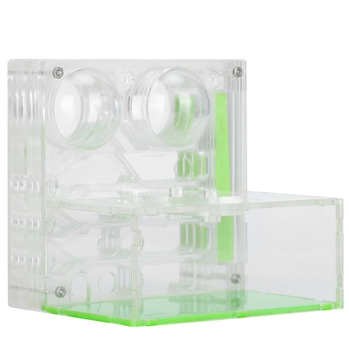 Boîte d'élevage de fourmis hydratante Boîte d'Élevage de Fourmis en ...