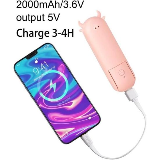 Mini Ventilateur Portatif, Ventilateur À Main, 2000Mah Usb Ventilateur De Poche Rechargeable ...