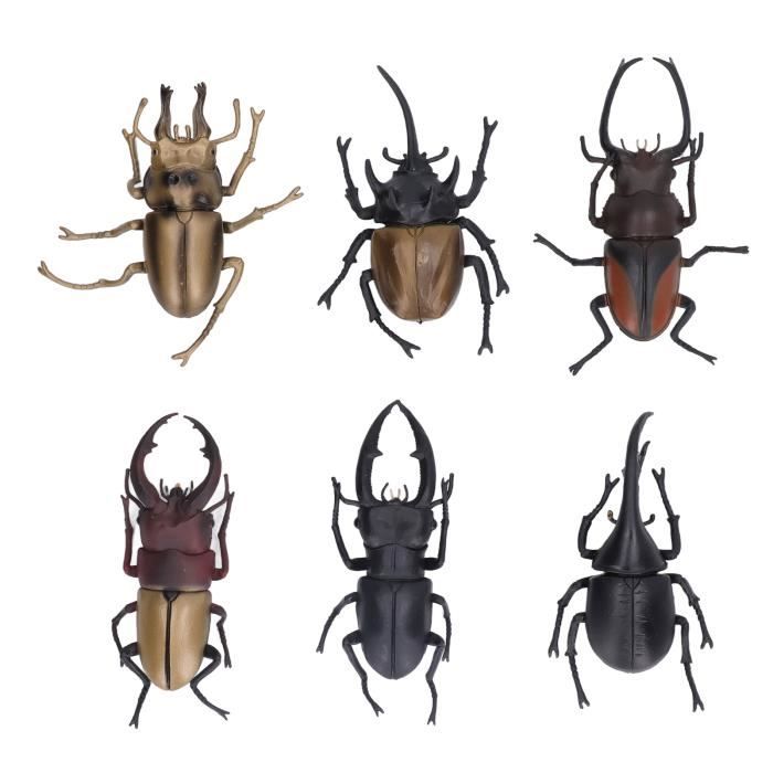 Fafeicy Jouet d'insecte 6 pièces Simulation insecte jouet insecte ...