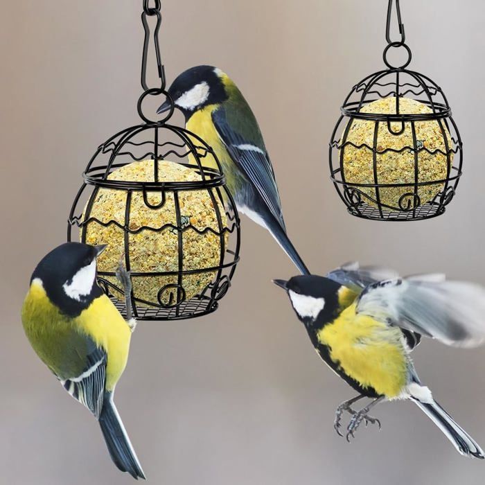 Sitemapcdatahttpwen2windecoocomtruffaut Oiseaux Prixnull