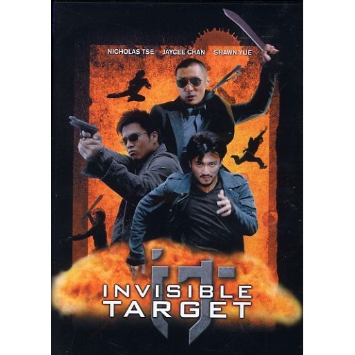 INVISIBLE TARGET - Cdiscount DVD