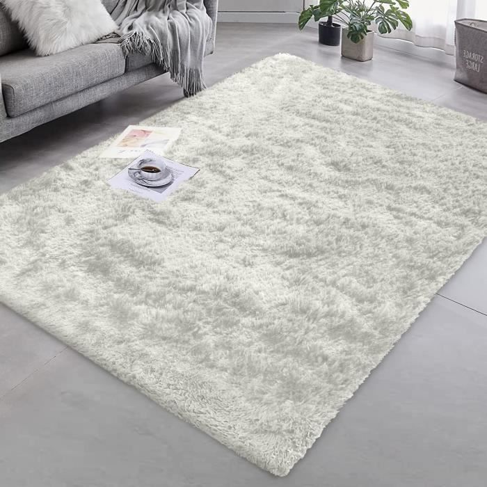 Tapis Shaggy À Poils Longs, Pour Salon, Moderne, Moelleux, À Poils Courts, Antidérapant, Pour ...