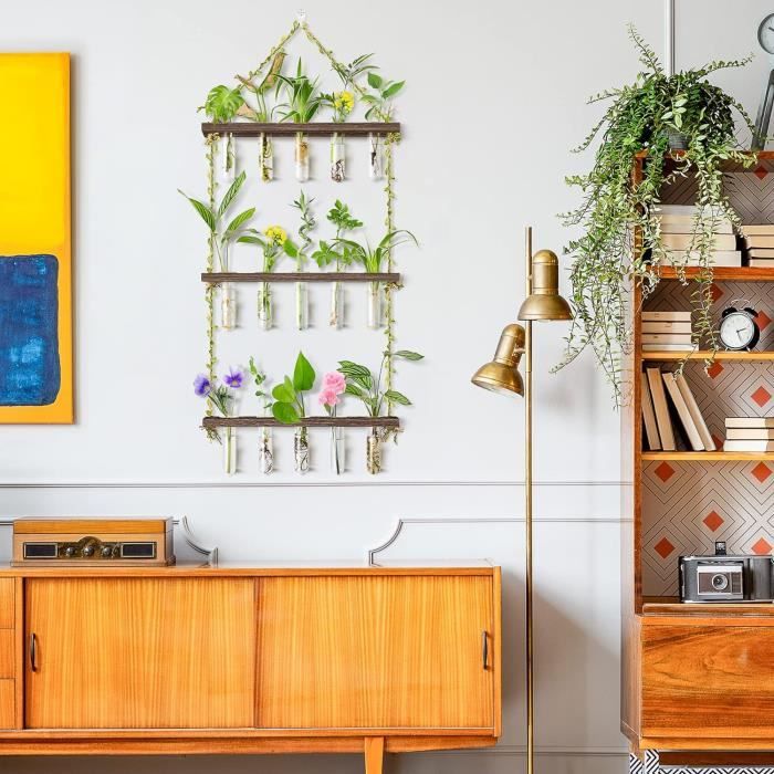 Station De Propagation, Terrarium Mural À 3 Étages Avec Support En Bois ...