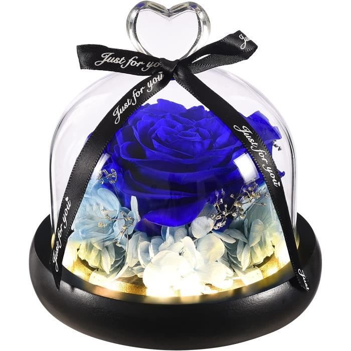 Roses Préservées Roses Bleues Fleurs Préservées Véritable Rose avec ...