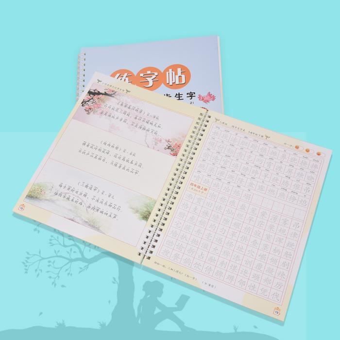 Cahier de pratique de la calligraphie, 10-30 minutes de calligraphie ...