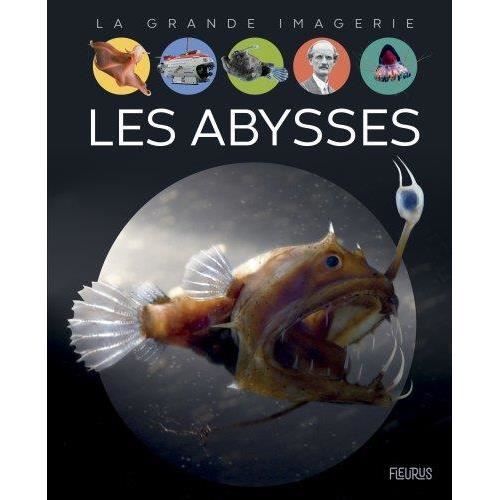 Les abysses - Collection La grande imagerie - Cdiscount Librairie