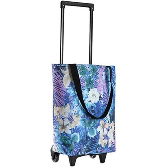 Chariot de Courses Pliable Chariot Pliable Pliant Sacs Shopping avec ...