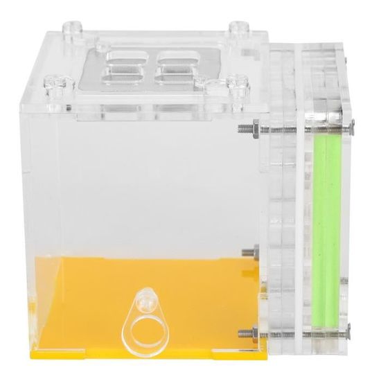 Omabeta Boîte d'élevage de fourmis Boîte d'Élevage d'Observation de ...