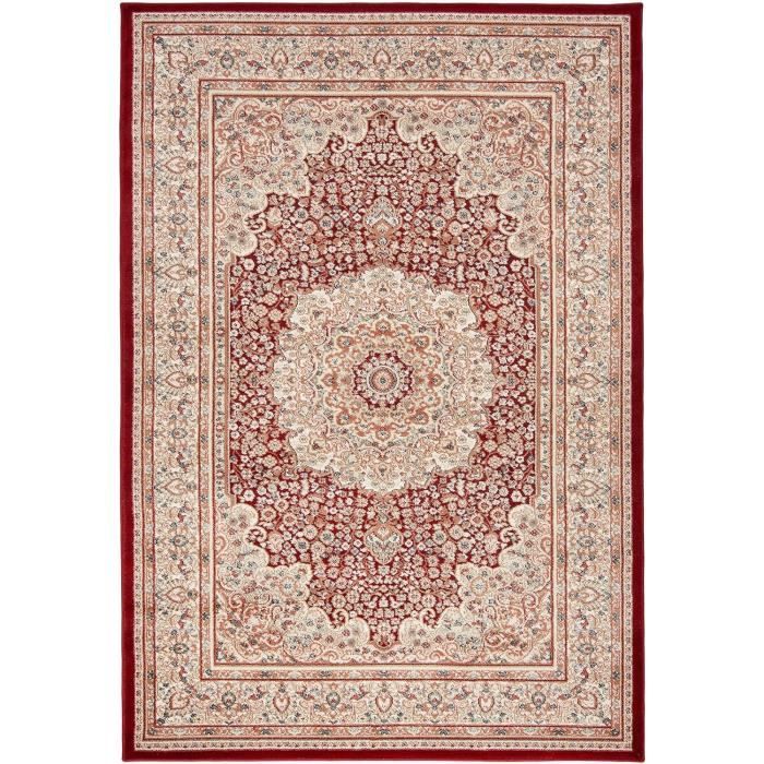 Carpeto Rugs Tapis Salon Motif Fleur Oriental Tapis Grande Taille De ...