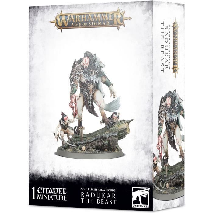 Figurine - Games Workshop - Warhammer AoS - Soulblight Gravelords ...