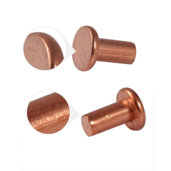 Lot De 200 Rivets Solides En Cuivre Violet À Tête Plate M2 X 10 Mm ...