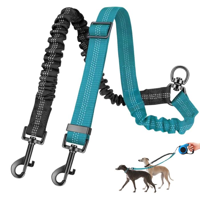 1 x double leash for 2 dogs for small double dogs for 2 dogs, no tangle ...