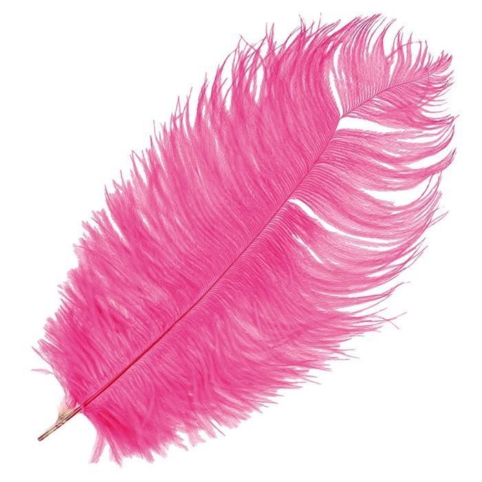 Plume d'autruche - Rose fuchsia - 35cm - Adulte - Cdiscount Beaux-Arts ...
