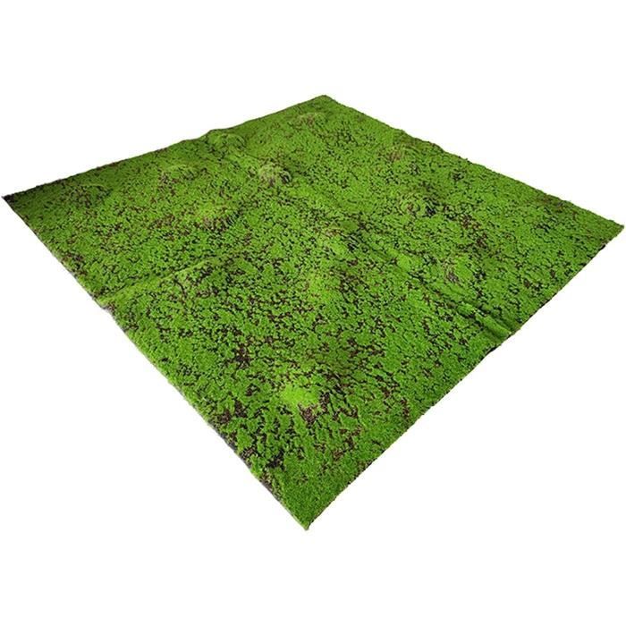 Mousse Murale Végétale Artificielle Pour Fausse Pelouse Scène Herbe ...