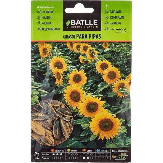 Graines aromatiques de - Tournesol (Seeds - 30cm) A13 - Cdiscount Jardin