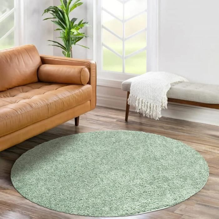 Shaggy Tapis De Salon, À Poils Longs, Motif Uni, Vert, 160 Cm, Rond, Doux Et Moelleux, Moderne ...
