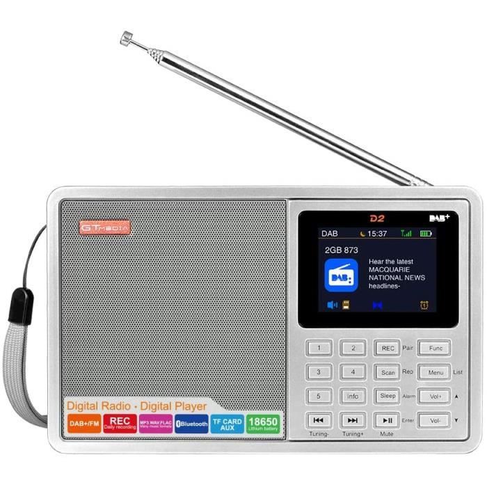 D2 dab fm radio numérique portable radio rechargeable (rec, rds, bluetooth, carte tf, prise ...