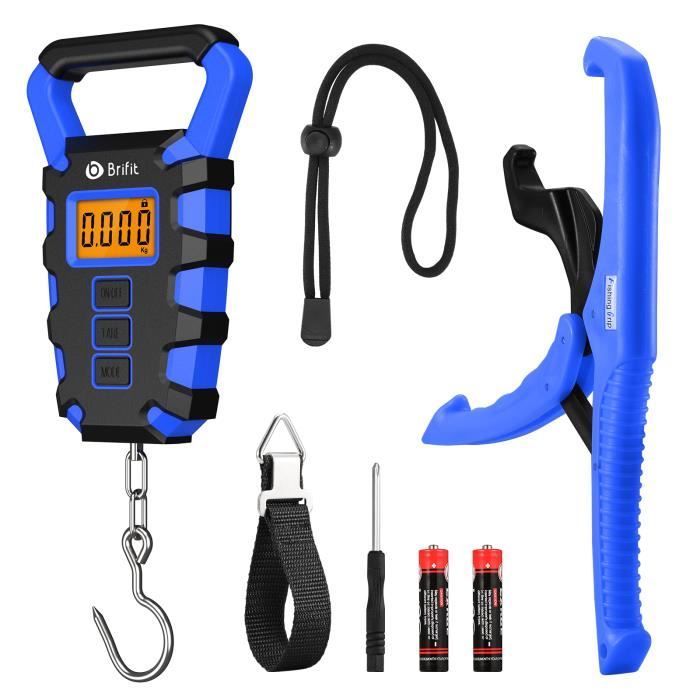 Balance De Pêche Numérique Avec Règle De Préhension De Poisson ...