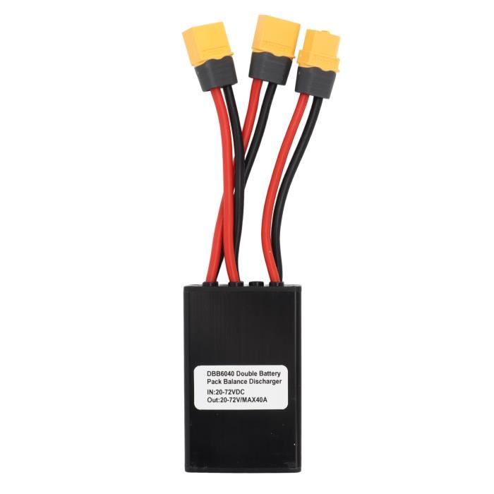 ABI Convertisseur de DéCharge de Batterie Double pour 40A Chargeur D ...