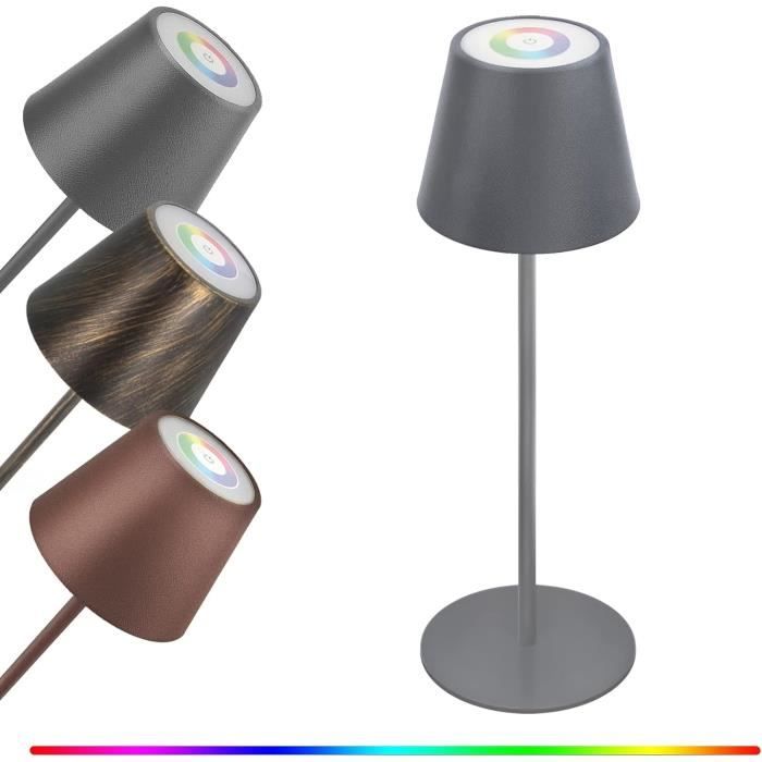 Lampe De Table Sans Fil 8 Couleurs Rgb Dimmable Led Batterie Lampe De ...