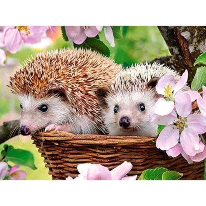 Peinture Diamant 5D À Faire Soi-Même,Hérisson Diamond Painting 30X40Cm ...