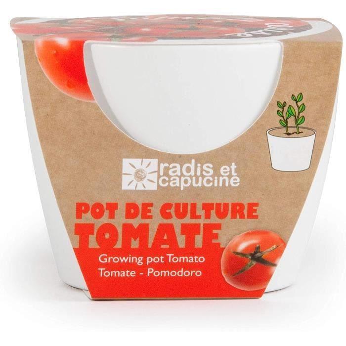 WEYE-Pot Céramique Blanc 8 cm avec graines de Tomate Cerise Bio ...